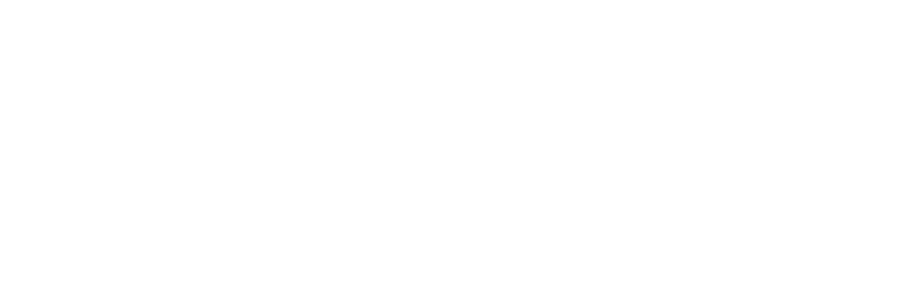 Conócenos – Partido Demócrata Verde
